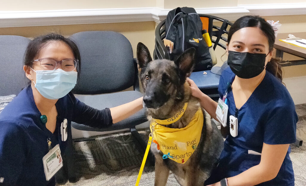 Hand in Paw » Hand in Paw 2021 Year in Review - Hand in Paw