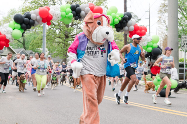 Hand in Paw » Mutt Strut Raises $54,000 for Animal-Assisted Therapy ...